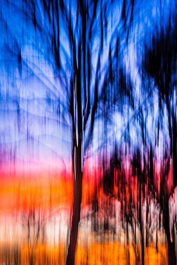 Abstract Background Moving Tree Sunset Stock Image - Image of blue ...