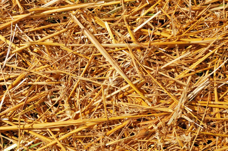 Straw texture stock image. Image of natural, hayrick - 16886027