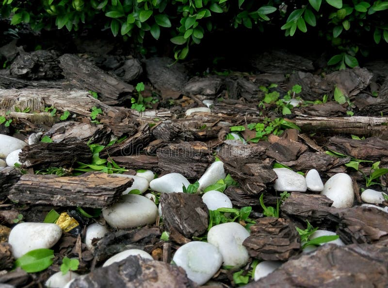 Abstract Background of Natural Objects Stock Photo - Image of stones ...
