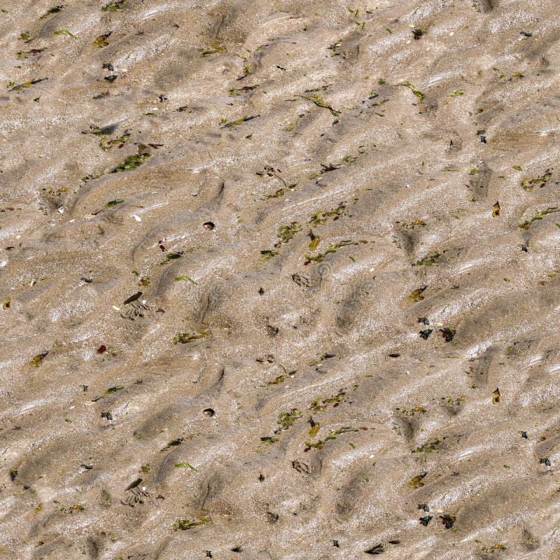 Sand texture. stock image. Image of dune, desert, nature - 231344119