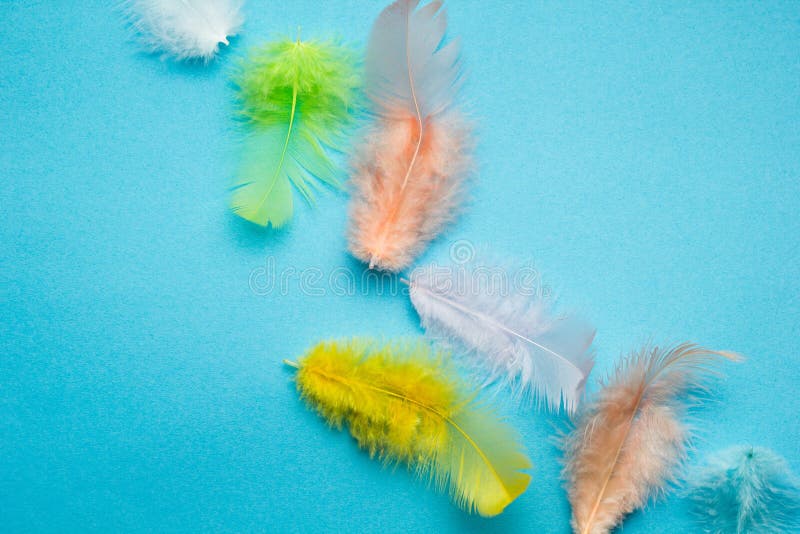 Abstract Background from Set of Multi-colored Beautiful and Soft Bird ...