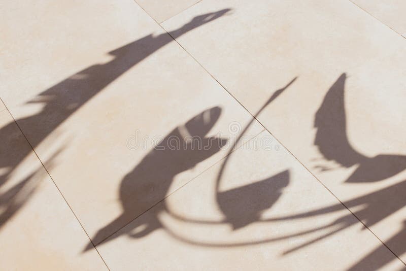 Abstract Background. Shadow from the Leaves of an Exotic Tree on the ...