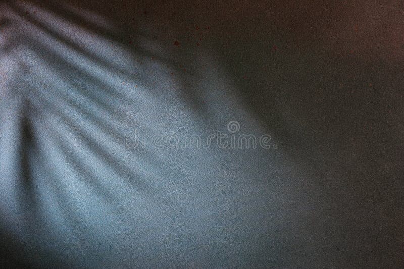 Abstract Background of Shadows Palm Leaves on a Dark Wall Stock Image ...