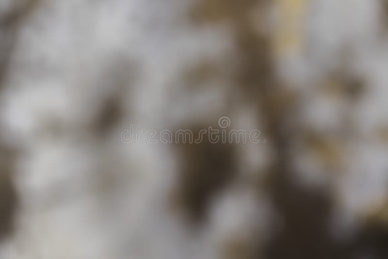 Abstract Background and Solf Bokeh Stock Photo - Image of glitter ...