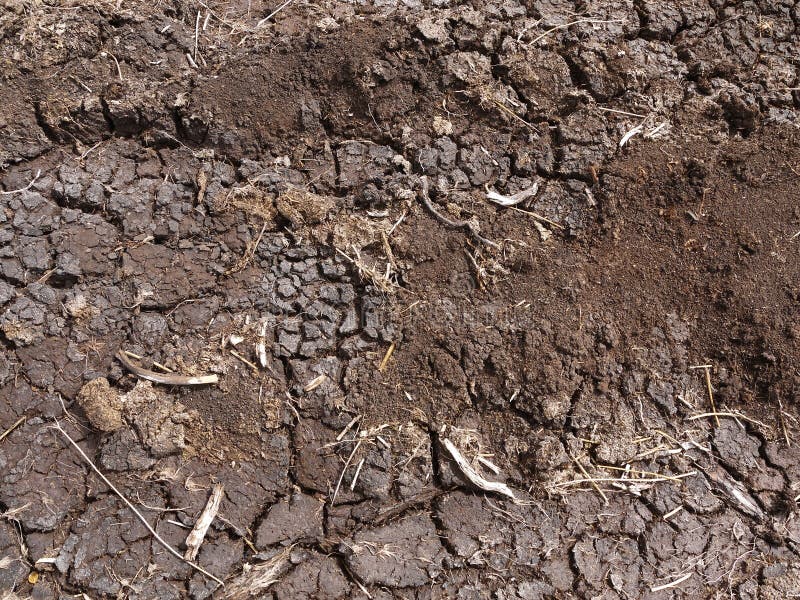 A Dry Crusty Peat Bog Surface Stock Photo - Image of crusty, patagonia ...