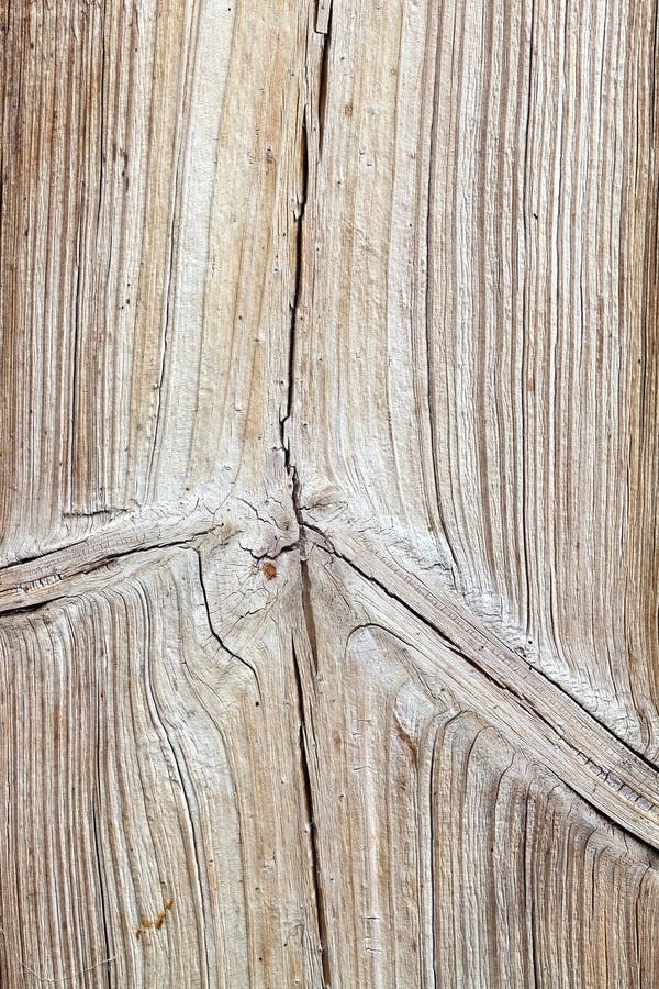 Abstract Background from Texture of Old Tree Stock Photo - Image of ...