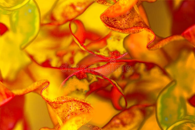 Abstract Background, Texture,overlay for Photo Editing Stock Image ...