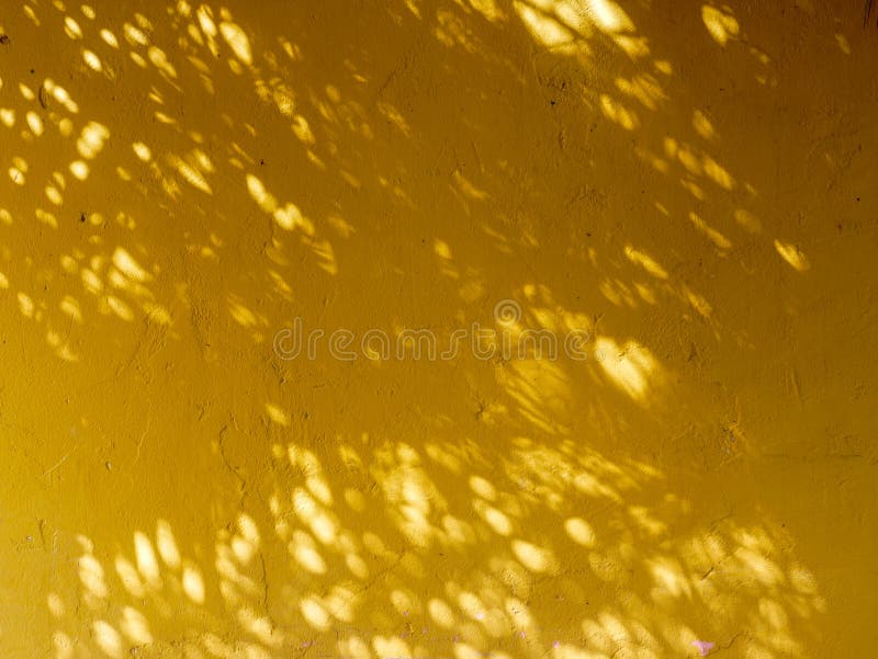 Abstract Background Texture of Shadows Leaf on Yellow Concrete Wall ...