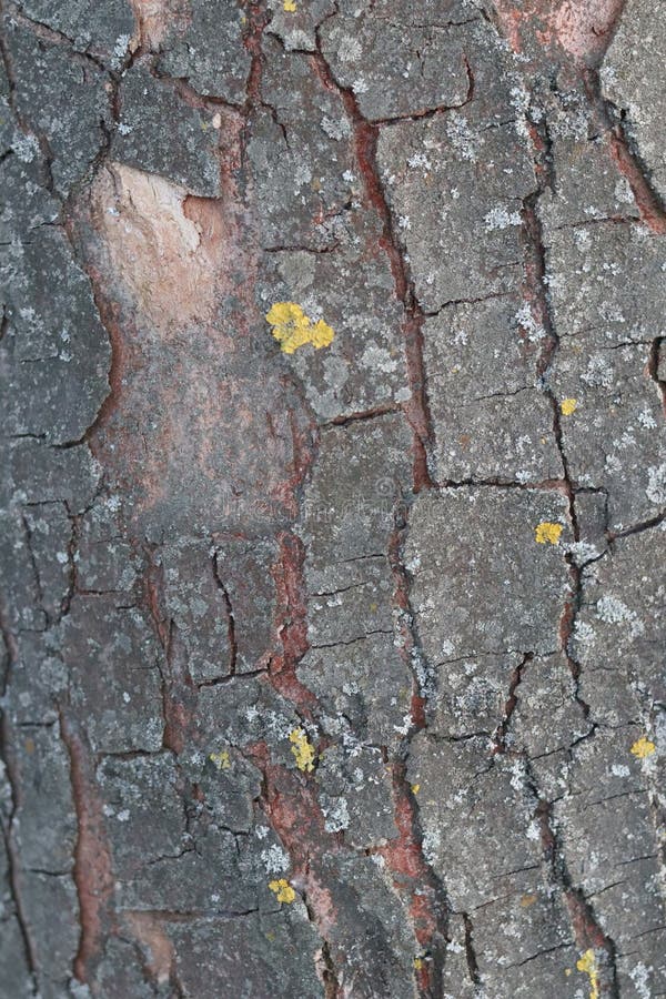 Abstract background 250 stock image. Image of background - 316401049