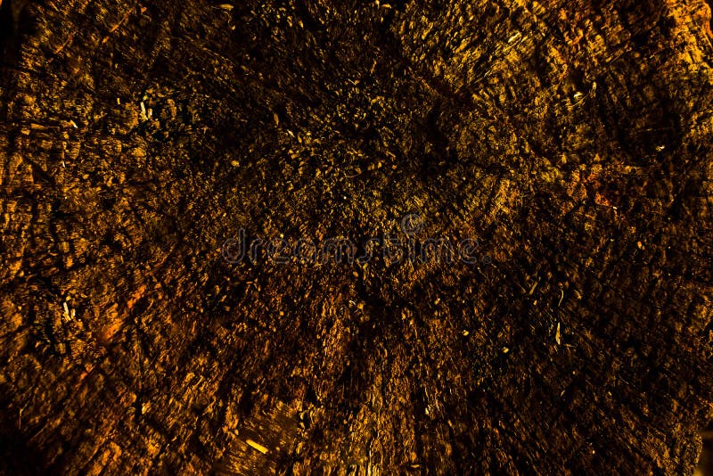 Abstract Background of a Tree Trunk. the Texture is Brown. Stock Image ...