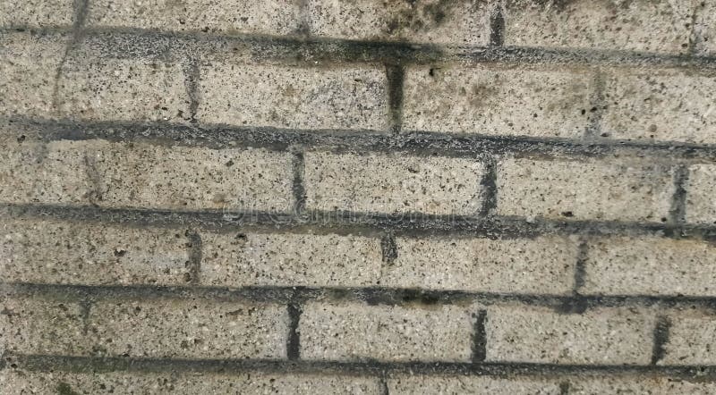 Background is the Basis or Starting Point for Providing Understanding ...