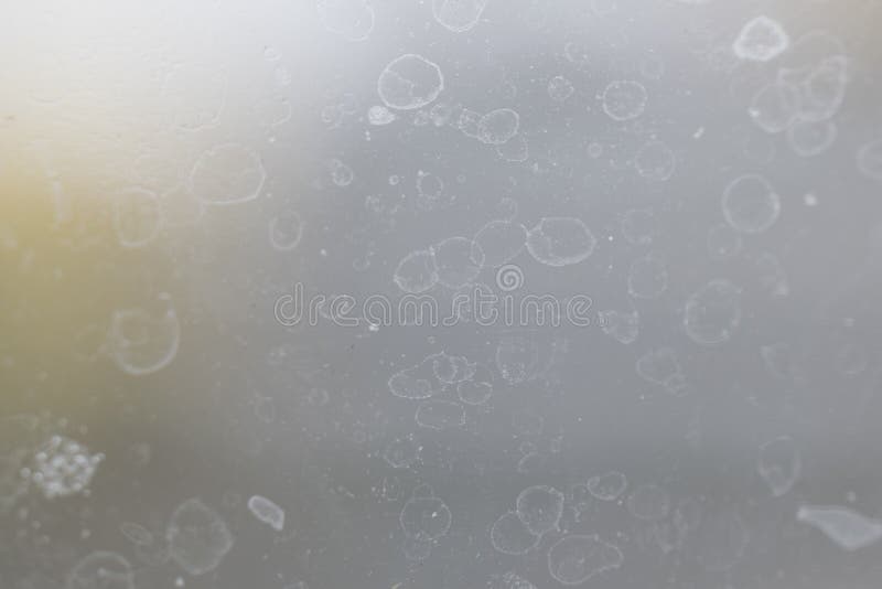 Abstract Background with Water Leftovers Rings and Dust Stock Photo ...