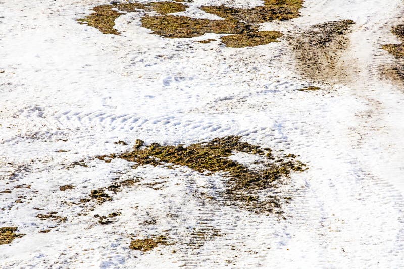 Abstract Background Wet Snow and Earth on the Ski Slope . Stock Image ...