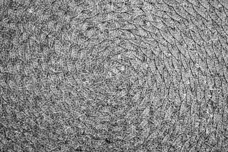 Abstract Background. White Dashes and Black Dashes in a Circular ...