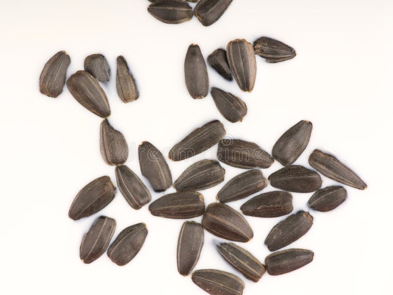 Abstract Background of White Liquid and Small Black Objects Floating in ...