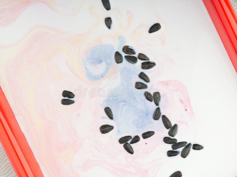 Abstract Background of White Liquid and Small Black Objects Floating in ...