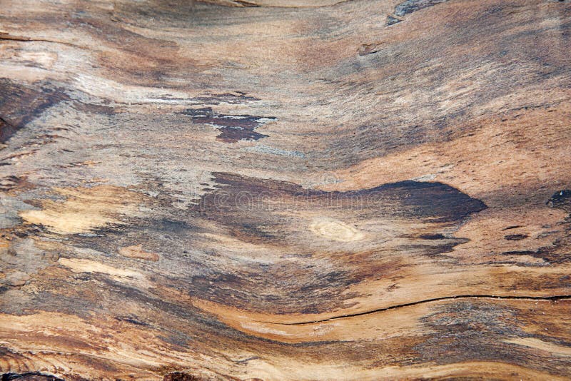 Abstract Background. Wood Texture in Brown Tones Stock Photo - Image of ...