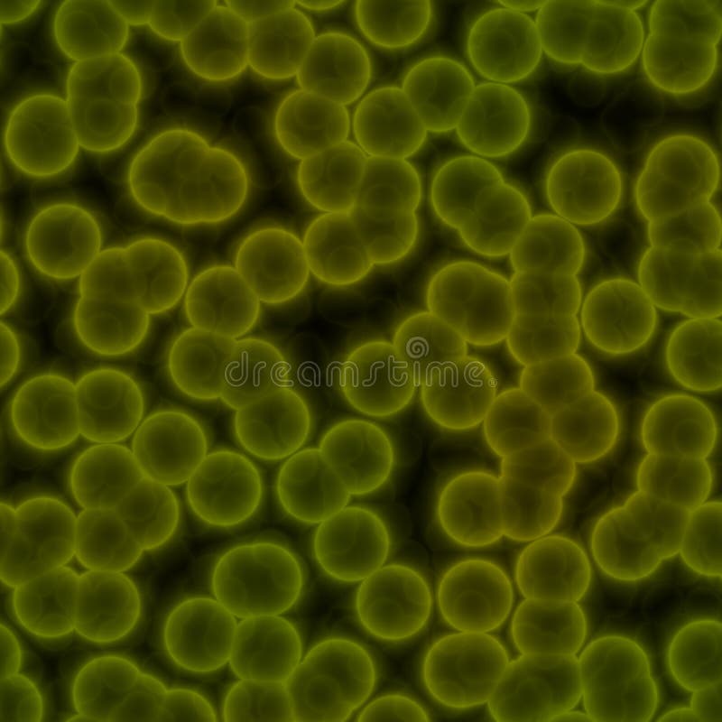 Abstract Bacteria Cells Seamless Texture or Background Stock Image ...