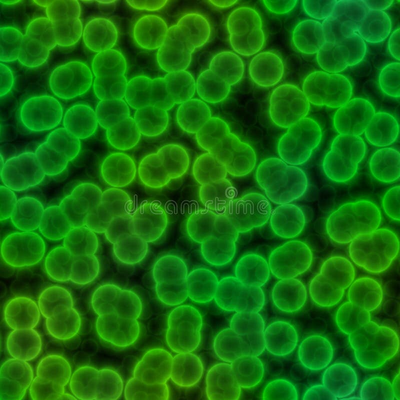 Abstract Bacteria Cells Seamless Texture or Background Stock Image ...