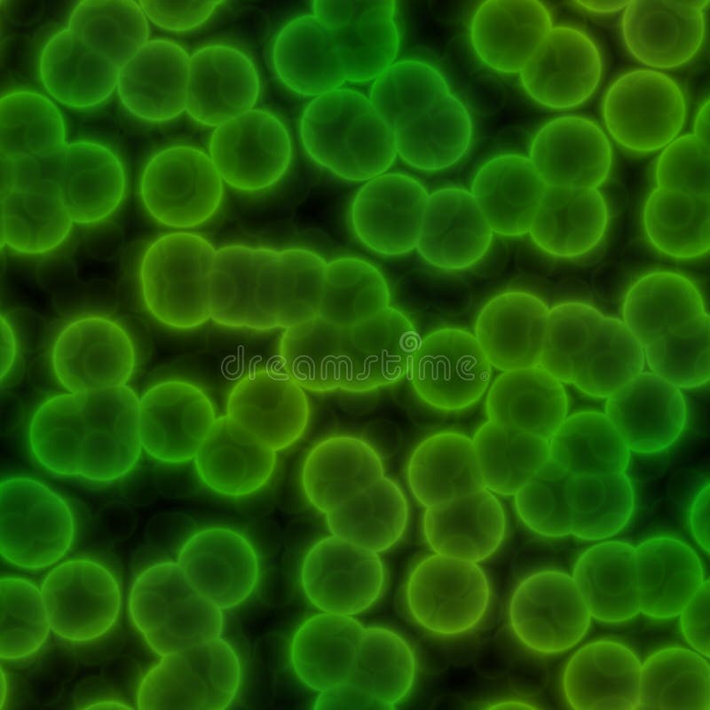 Abstract Bacteria Cells Seamless Texture or Background Stock Image ...
