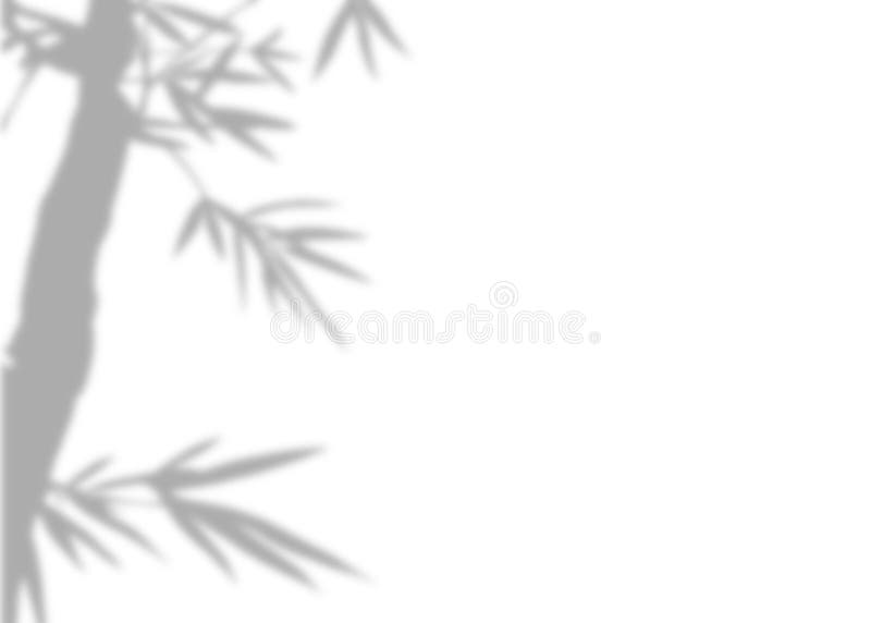 Abstract Bamboo Shadow on White Canvas, Soft Shadows of Bamboo Leaves ...