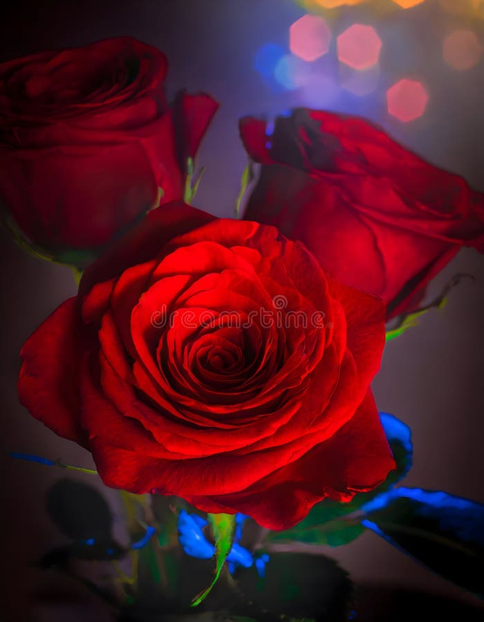 Abstract Batch Red Rose Flowers for a Background, Realistic, with ...