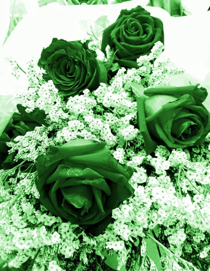 Abstract Beautiful Green Rose Green Textures and Patterns for the ...