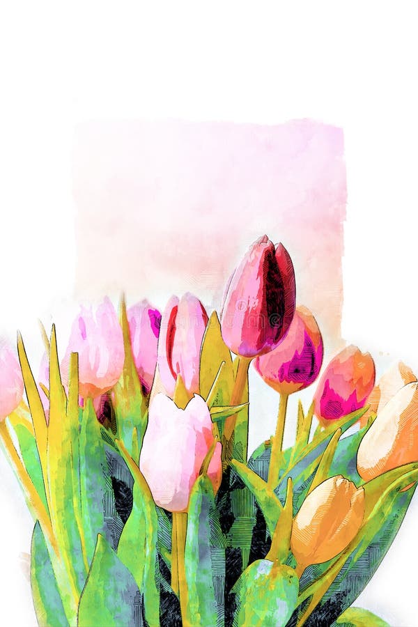 Abstract Beautiful Rose Flower Bouquet Illustration Stock Illustration ...