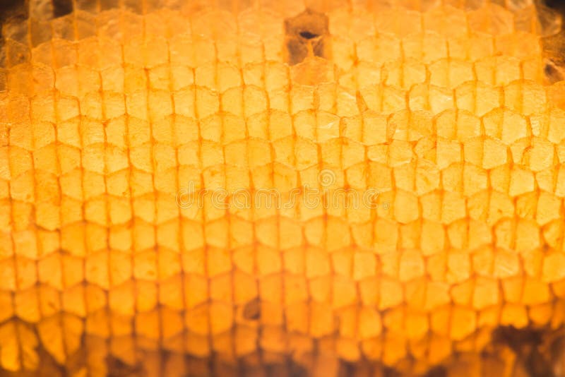 Abstract bee wax texture stock photo. Image of nature - 92859450