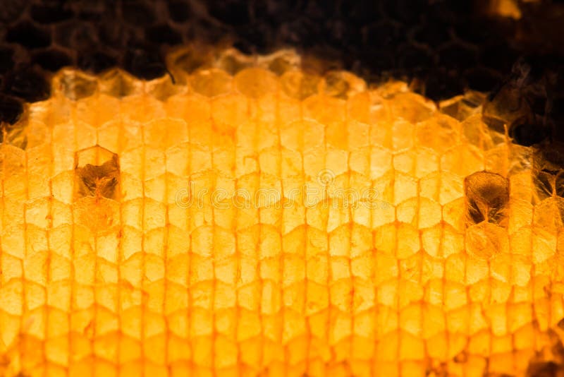Abstract bee wax texture stock image. Image of pattern - 95540145