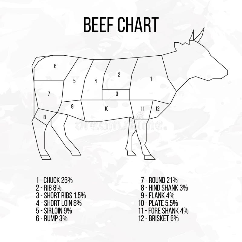 Old Beef chart stock illustration. Illustration of hloin - 24719732