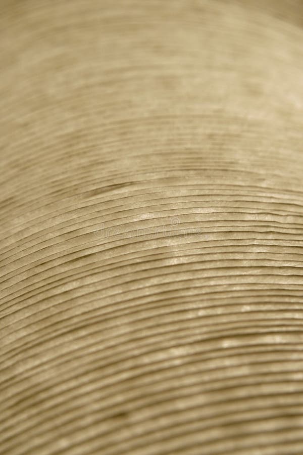 Abstract Beige Folded Surface Stock Photo - Image of paper, peel: 11221476
