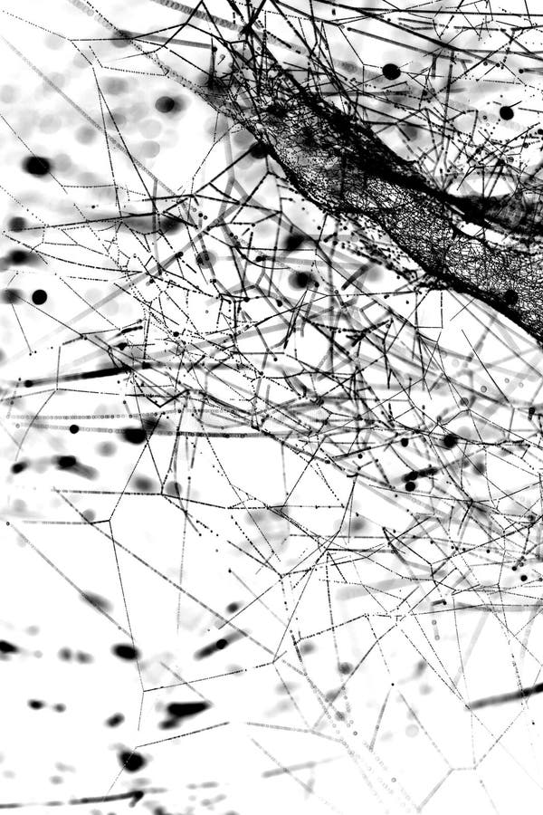 Inverted Cobweb Stock Photos - Free & Royalty-Free Stock Photos from ...