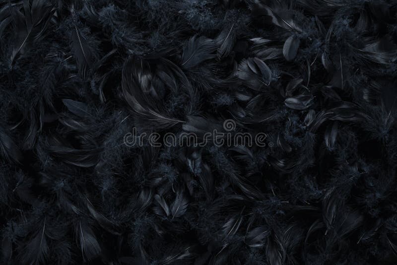 Abstract Black Feather Background, Texture Stock Image - Image of high ...