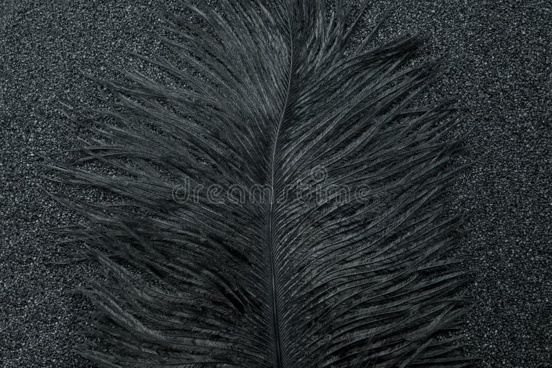 Abstract Black Feathers on Dark Stone Background Texture Stock Photo ...
