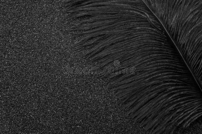 Abstract Black Feathers on Dark Stone Background Texture Stock Image ...