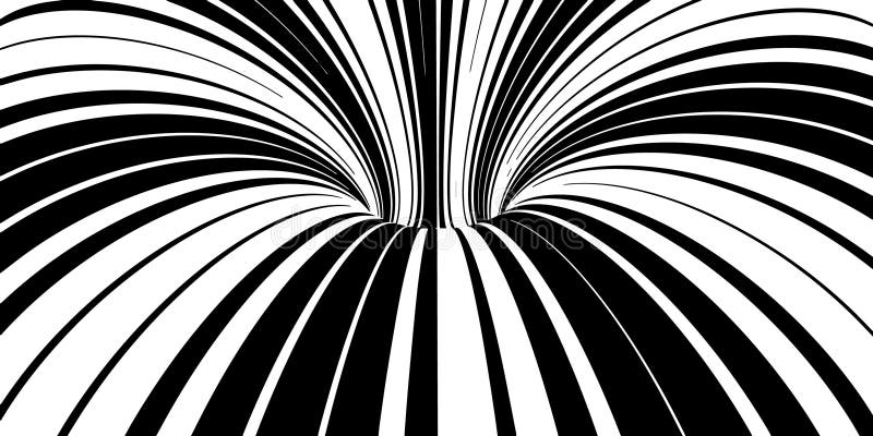 Abstract Black Lines Group on White. Optical Texture Effect on Torus ...