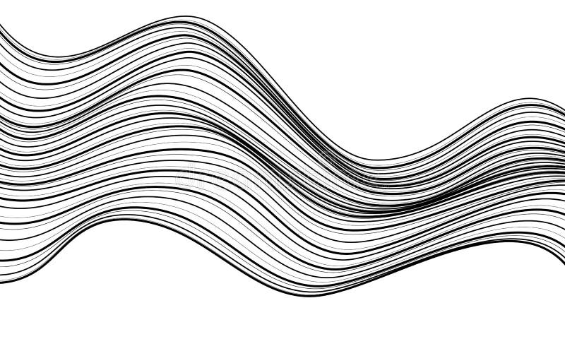 Abstract Black Lines Wave Curve Motion on White Background Vector Stock ...