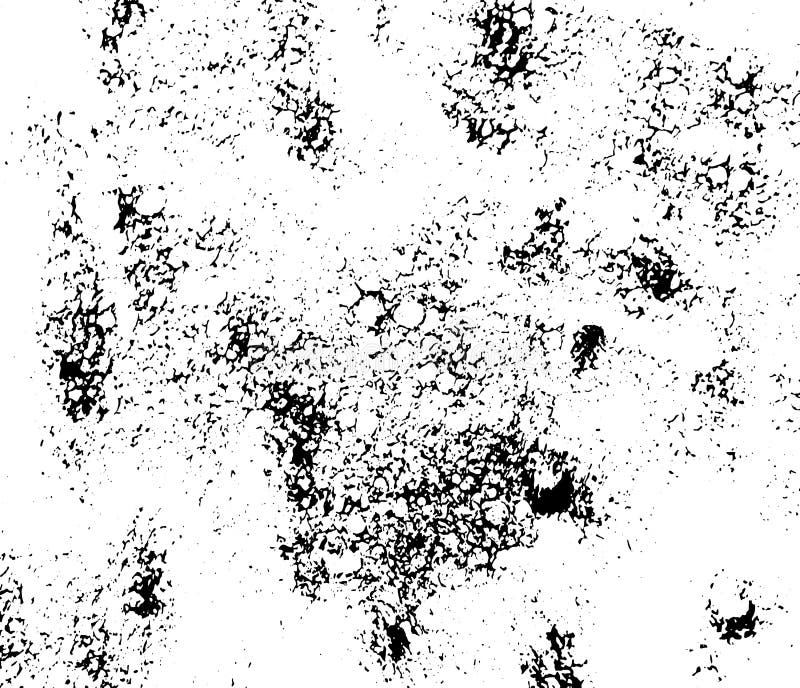 Abstract Black Sponge Stains Texture. Design for Your Brushes and ...