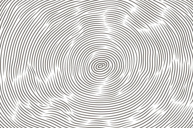 Abstract Black and White Fluid Patterns with Organic Shapes on a Plain ...