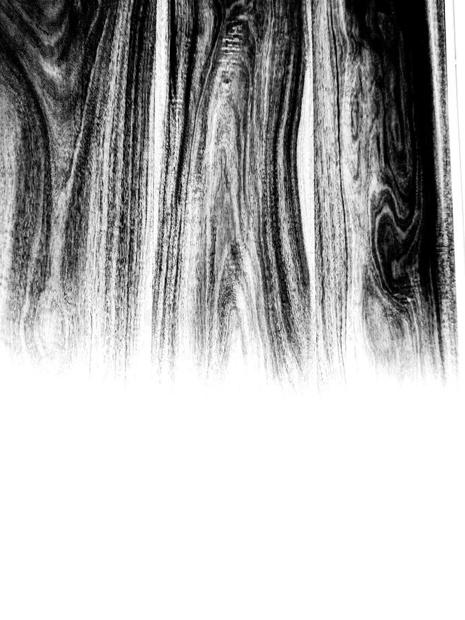 Abstract Black and White Gradient Wood Grain Stock Photo - Image of ...
