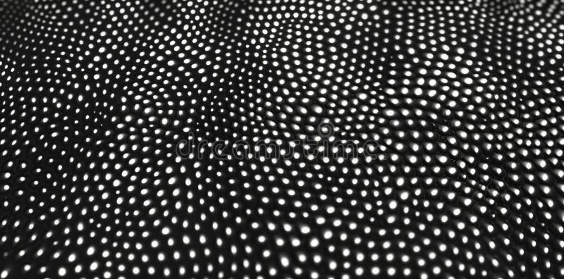 Abstract Black and White Lizard Skin Pattern with Small Dots, Vector ...