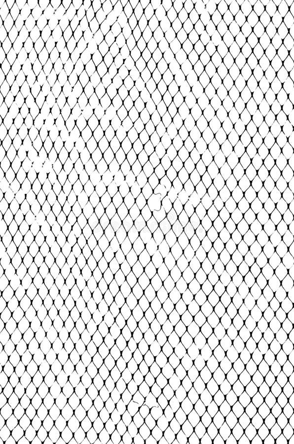 Abstract Black and White Mesh Background Stock Photo - Image of ...