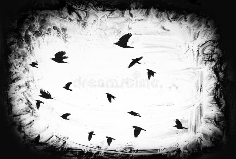 Black and White Texture and Birds Stock Image - Image of animals, birds ...