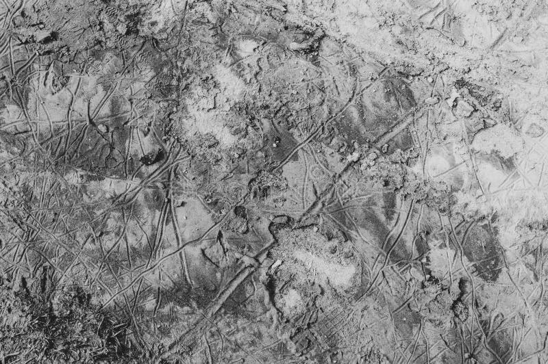 Abstract Black and White Texture with Imprints on the Ground Stock ...