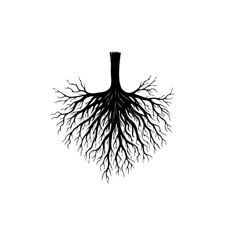 Abstract Black and White Tree Roots Illustration with Intricate ...