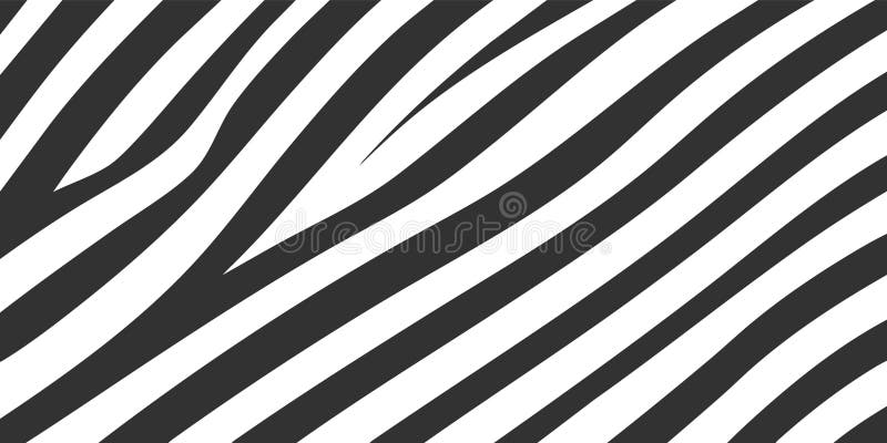 Abstract Black and White Zebra Stripe Pattern Design. Stock ...