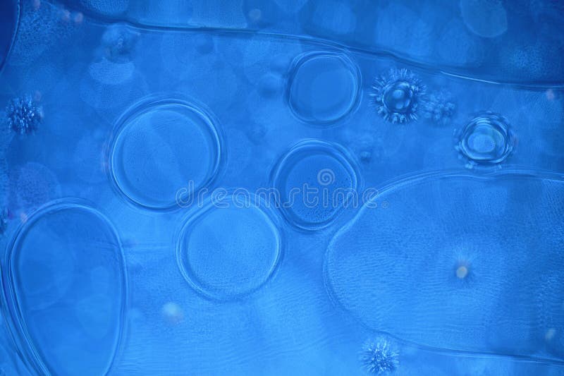Abstract Blue Background in Macro Magnification.with Oil Water Circles ...