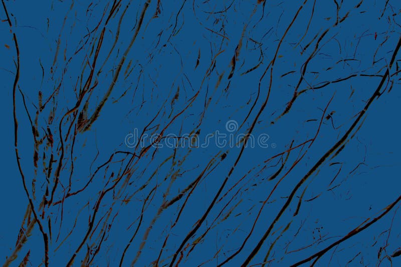 Abstract Blue Background. Tree Branches on a Classic Blue Background ...