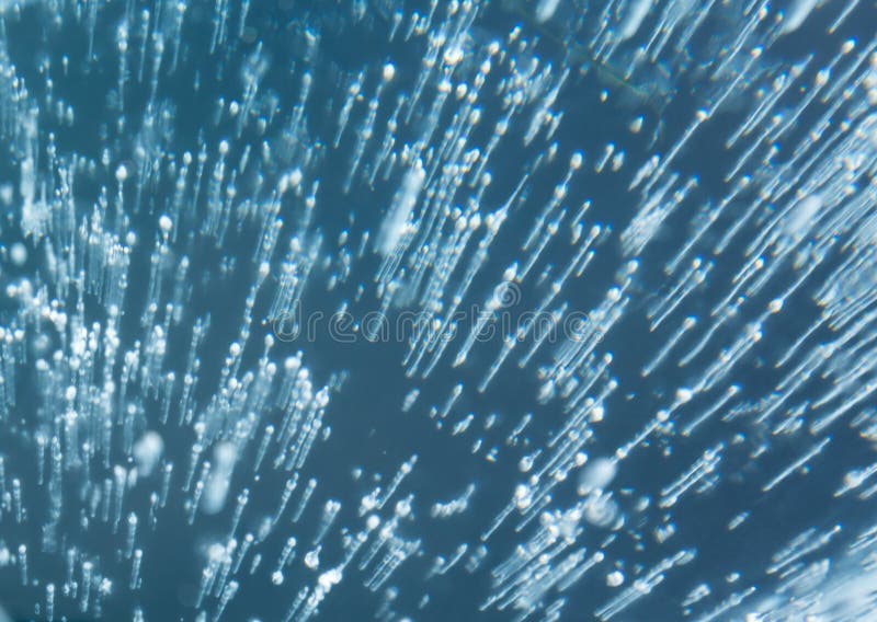 Abstract blue background stock image. Image of motion - 275613491 Abstract blue background stock image. Image of motion - 275613491